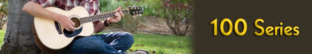Mitchell MD100 Dreadnought Acoustic Guitar | Mitchell Guitars