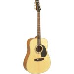Mitchell MD100 Dreadnought Acoustic Guitar | Mitchell Guitars