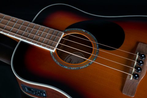 Mitchell EZB Acoustic-Electric Mini-Bass | Mitchell Guitars