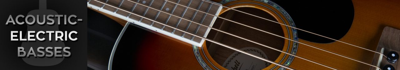 Mitchell Acoustic-Electric Bass Guitars | Mitchell Guitars